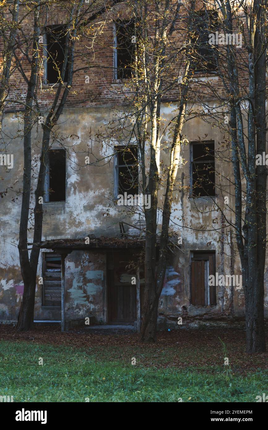 The back entrance to an abandoned building. The entrance is boarded up ...