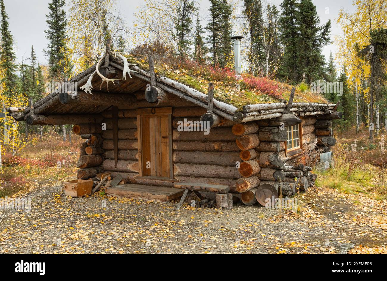 Miner's Cabin; BLM Display; Coldfoot Alaska Stock Photo - Alamy