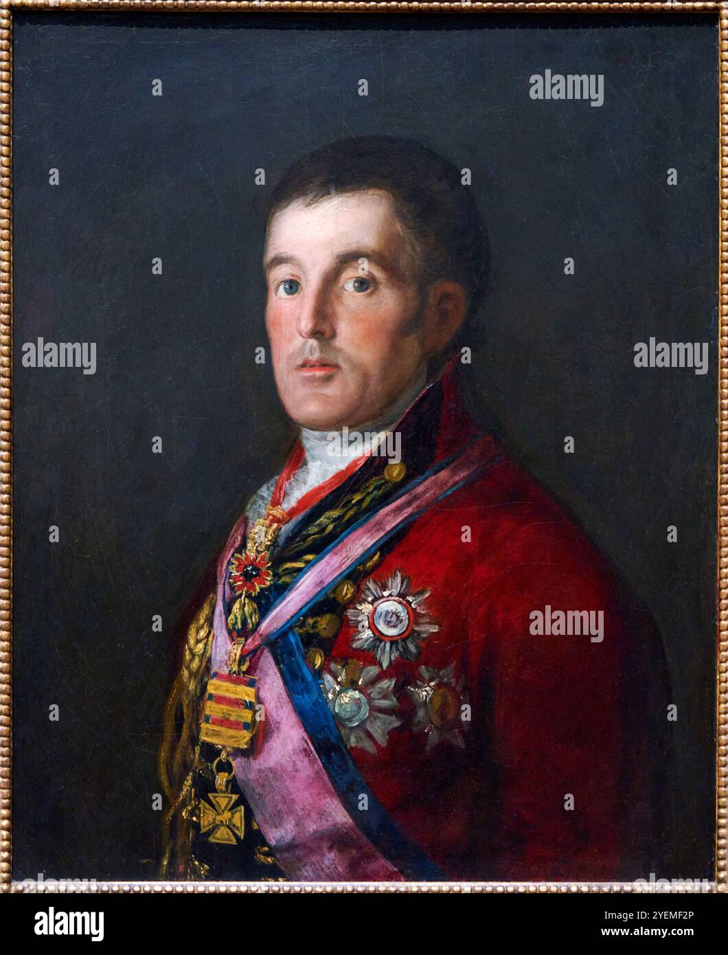 The Duke of Wellington, 1812-1814, Francisco de Goya (1746-1828), The ...
