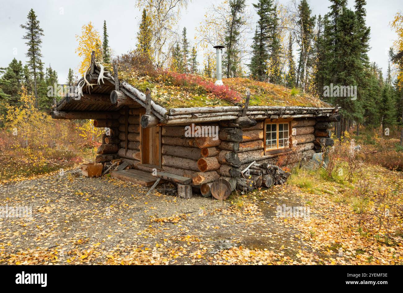 Miner's Cabin; BLM Display; Coldfoot Alaska Stock Photo - Alamy