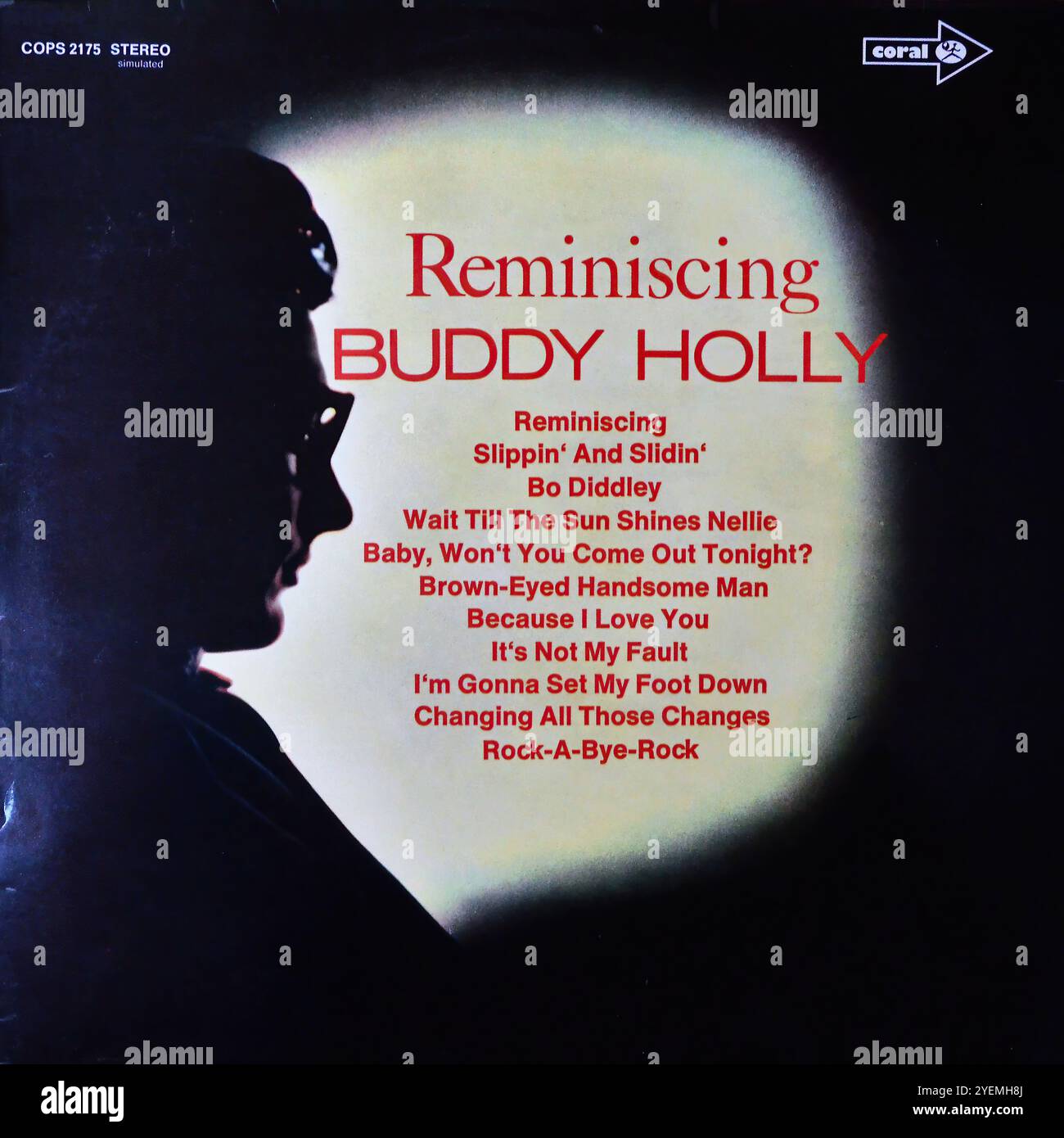 Buddy Holly Reminiscing