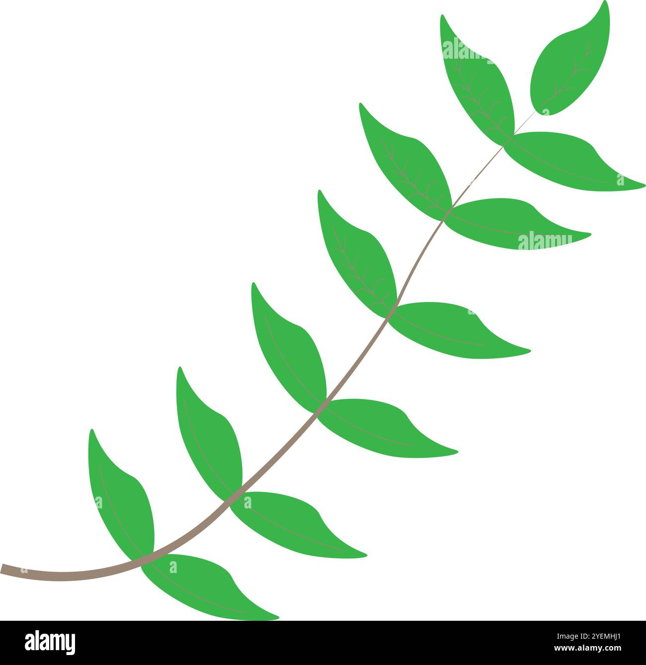 Featuring intricate leaf Stock Vector Images - Alamy