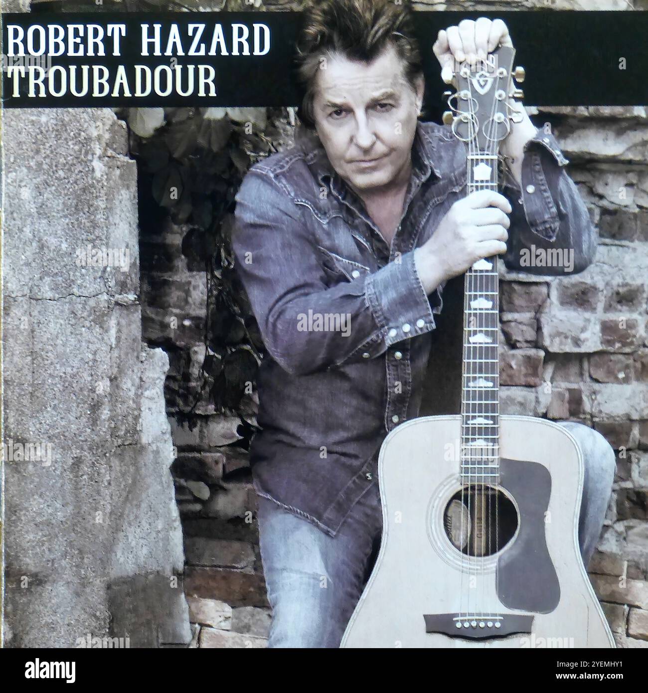 Robert Hazard - Troubador - Original Vinyl Cover Stock Photo - Alamy