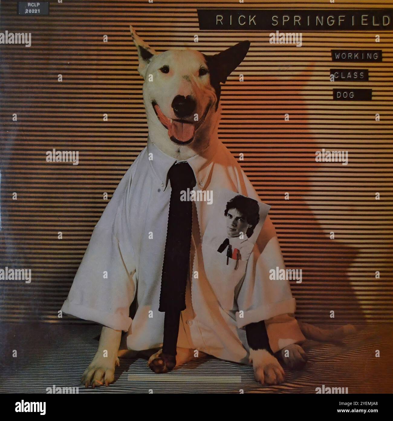 Rick springfield dog hi-res stock photography and images - Alamy