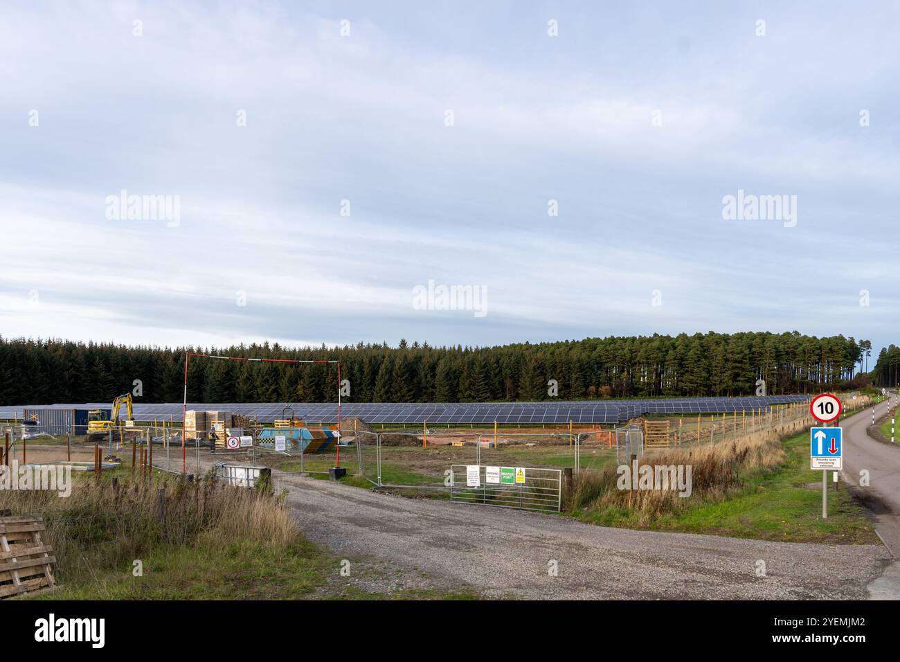 31 October 2024. Macallan Estate,Archiestown,Moray,Scotland. This shows ...