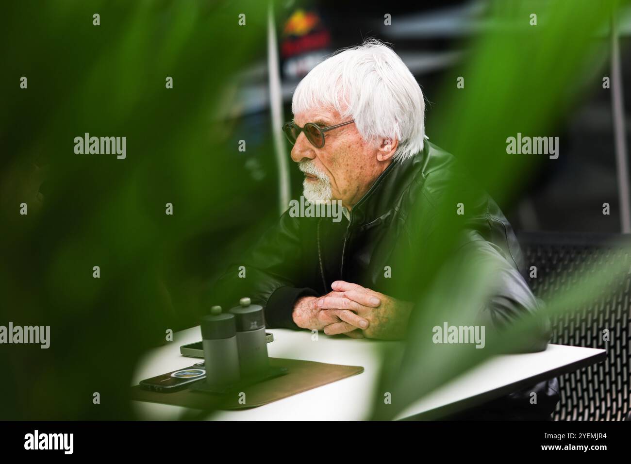 ECCLESTONE Bernie (gbr), former CEO of Formula One Group, portrait ...