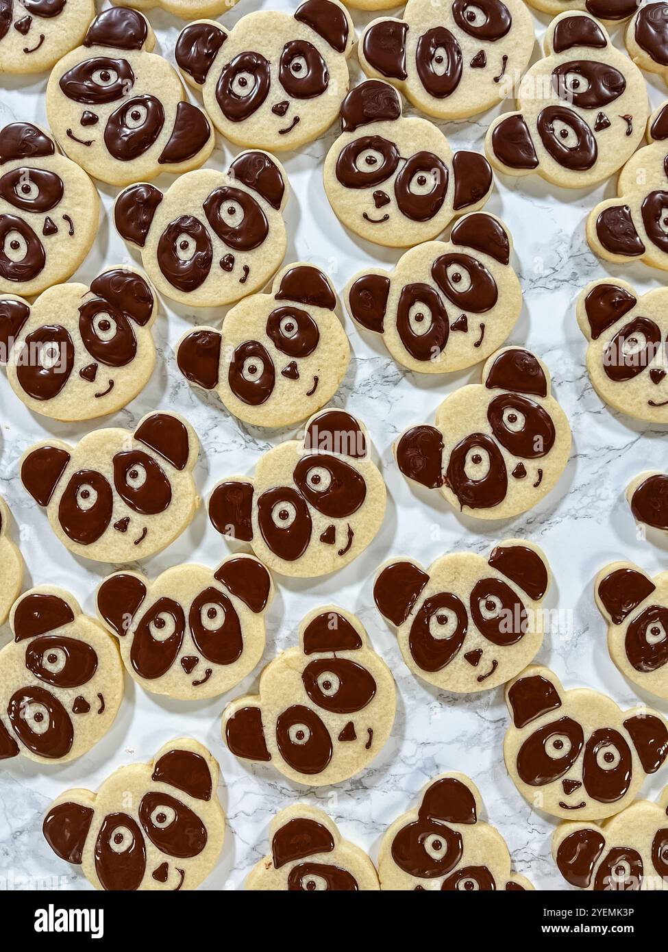 Cute Panda Face Sugar Cookies with Chocolate Icing Stock Photo - Alamy