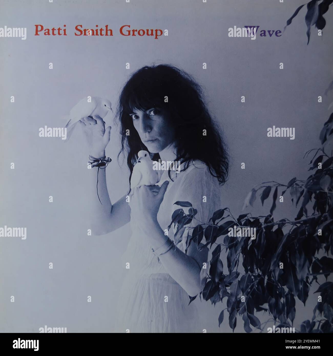 Patti Smith Group - Wave - Original Vinyl Cover Stock Photo - Alamy