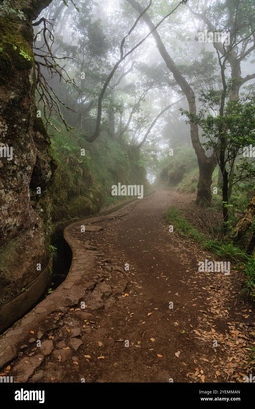 The beautiful trail PR11 Levada dos Balcoes in Madeira, with a foggy ...