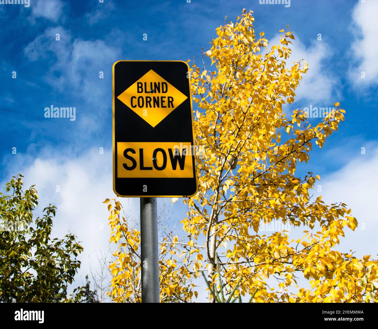 Road sign for blind corner Stock Photo - Alamy