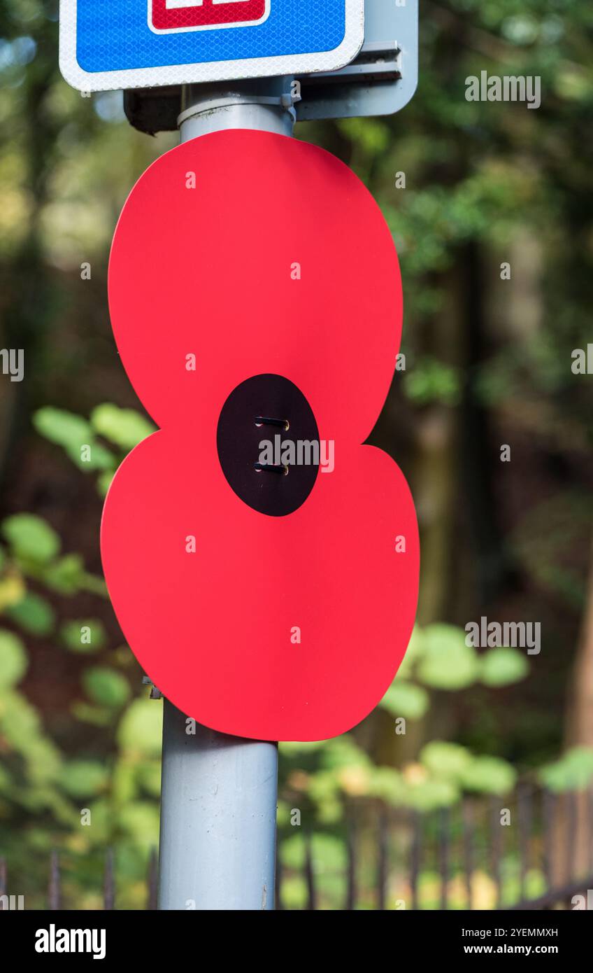 A Red Poppy remembrance sign attached to a post at Box Hill, Surrey ...