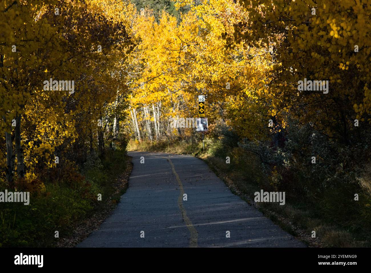 Fall scenery from the trail Stock Photo - Alamy