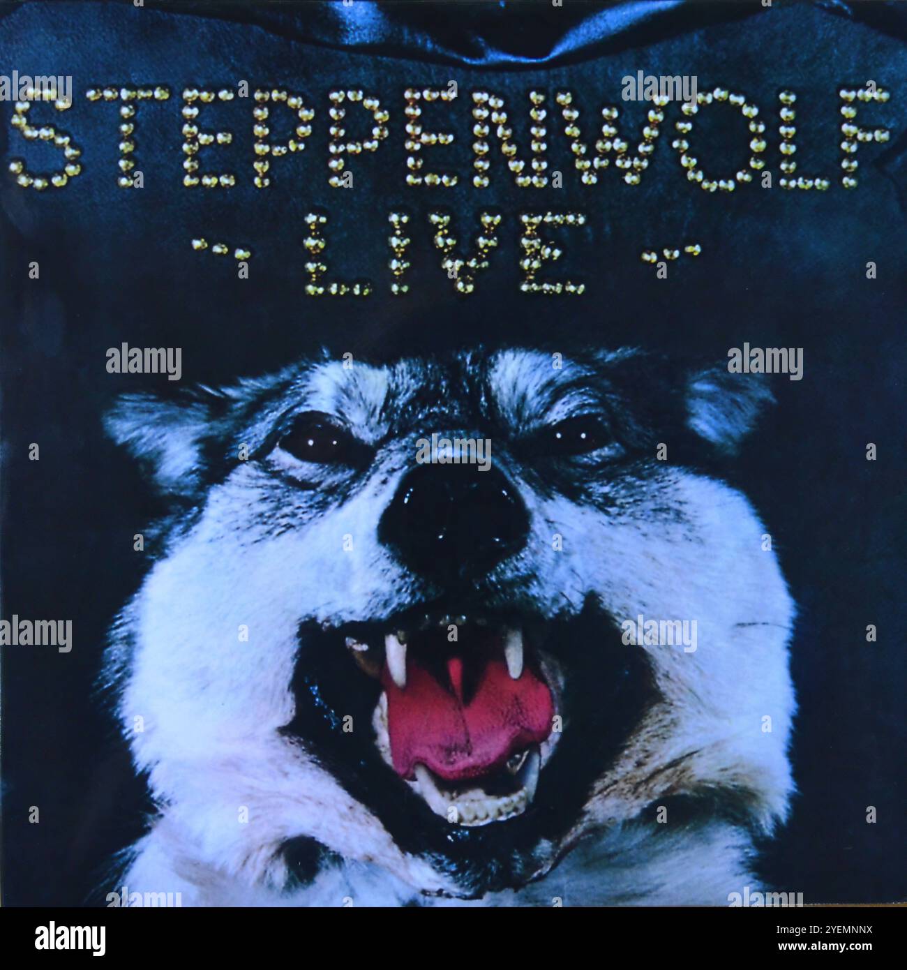Steppenwolf hi-res stock photography and images - Alamy