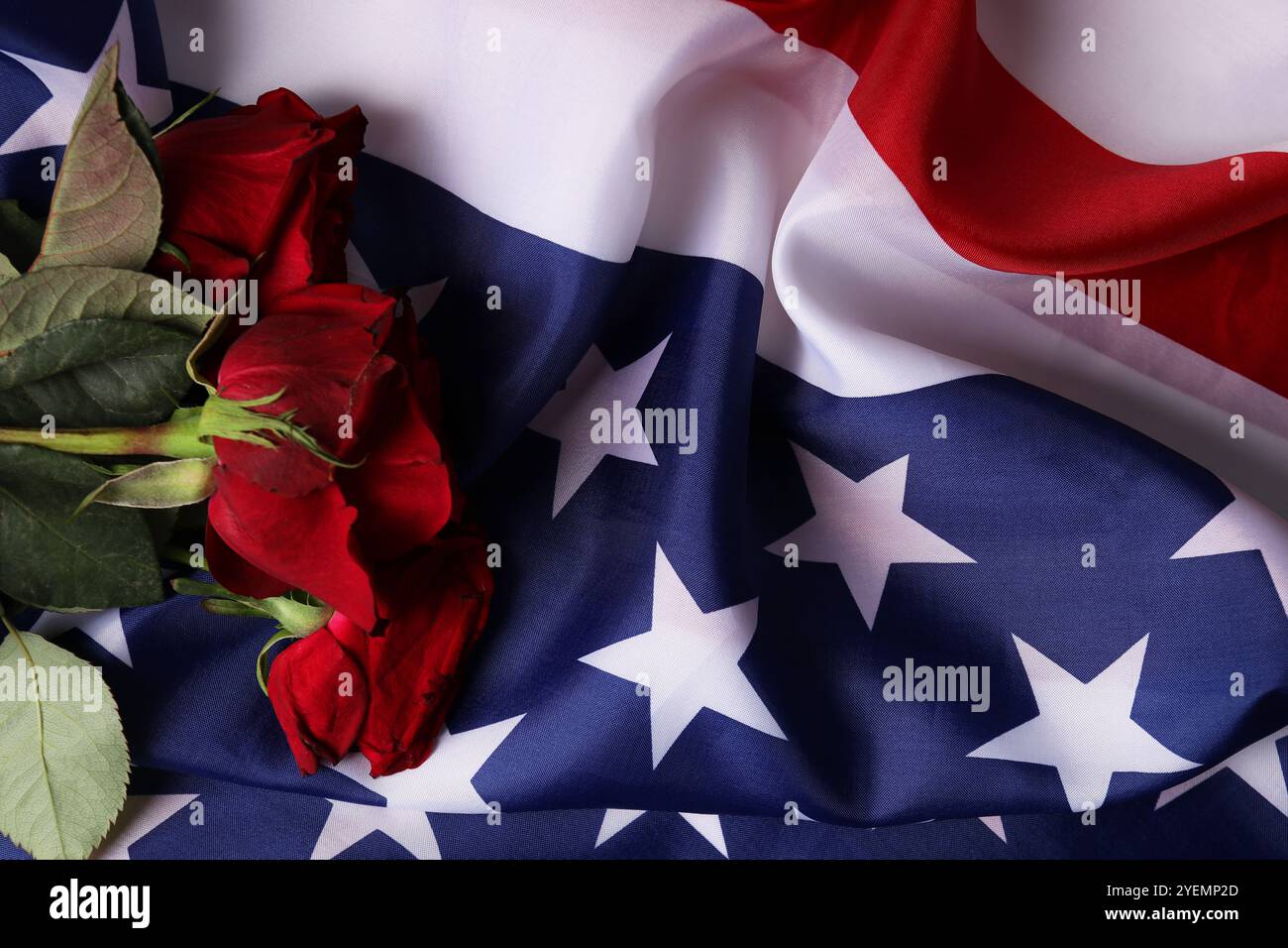 Veterans day. Rose flowers on American flag, top view Stock Photo - Alamy