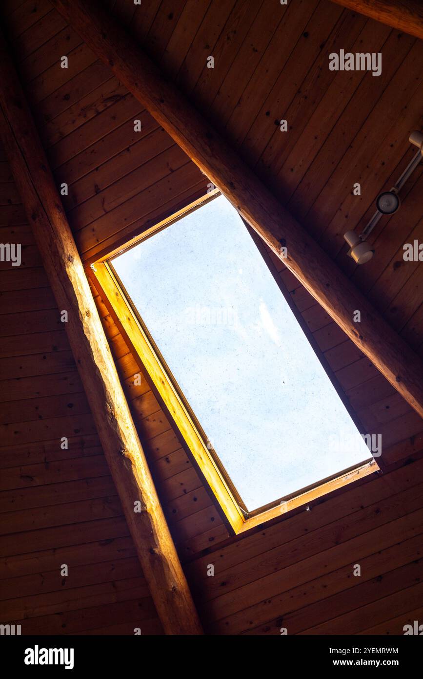 Highlight natural details hi-res stock photography and images - Alamy