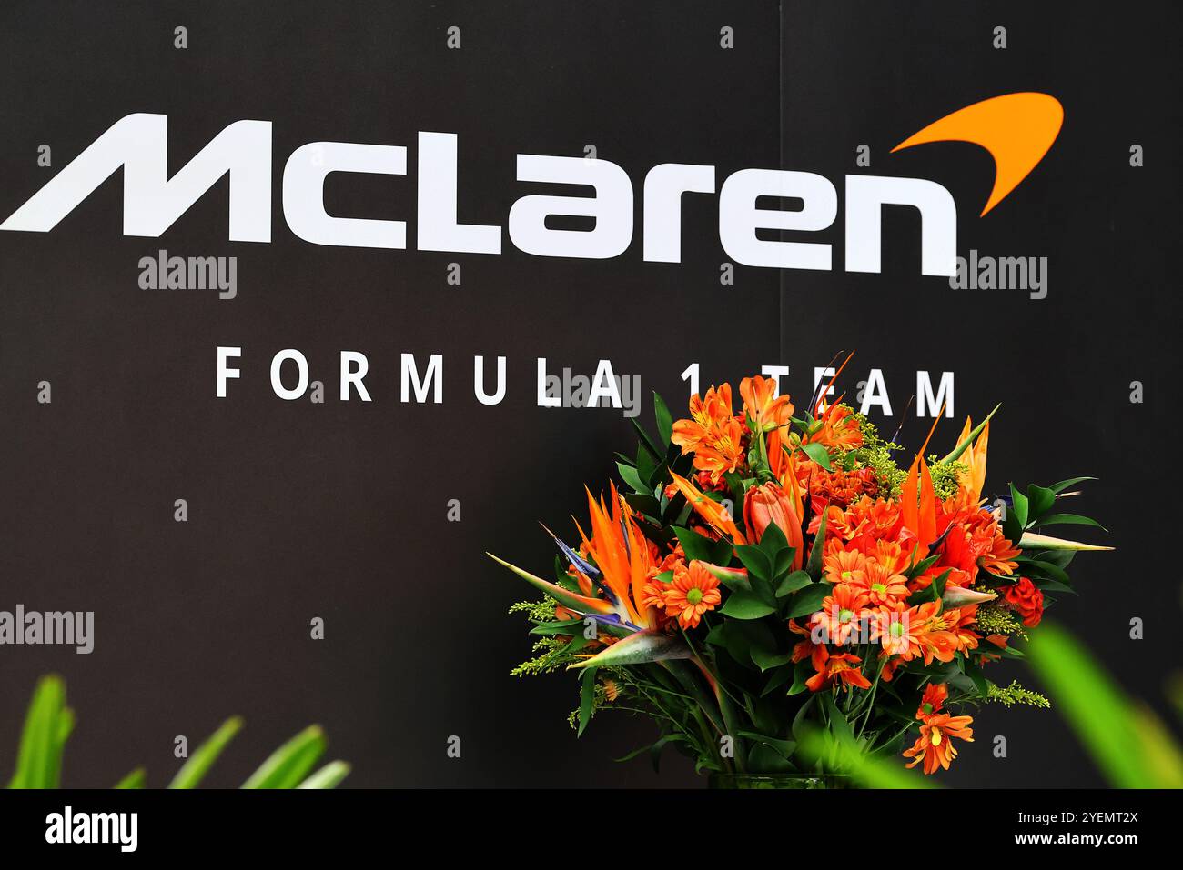 Team Mclaren Logo Logo De Mclaren Hi Res Stock Photography And Images