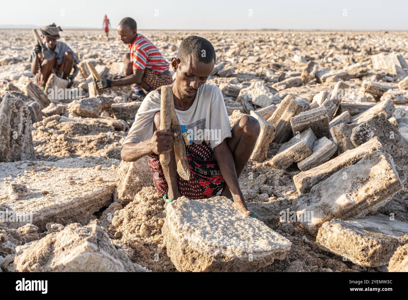Local man cutting blocks of salt in a salt quarry at Assale Salt Lake ...