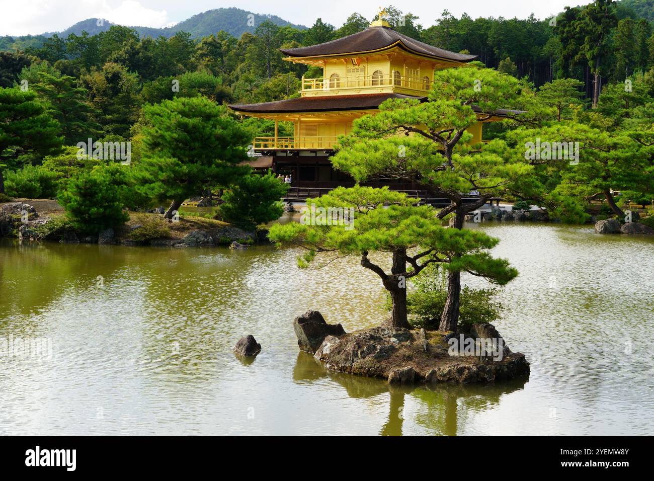 The Temple of the Golden Pavilion Stock Photo - Alamy