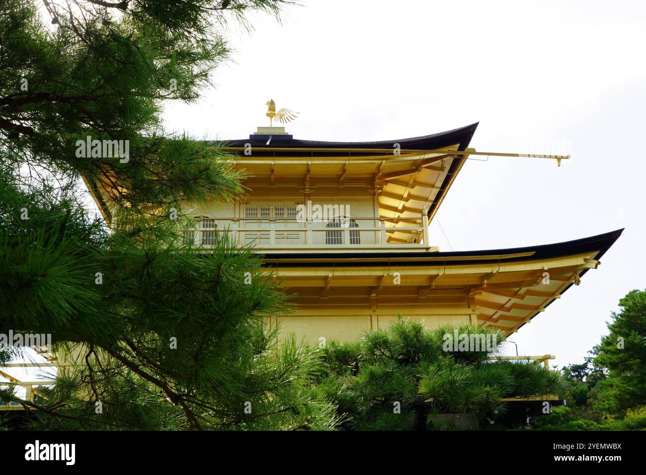 The Temple of the Golden Pavilion Stock Photo - Alamy