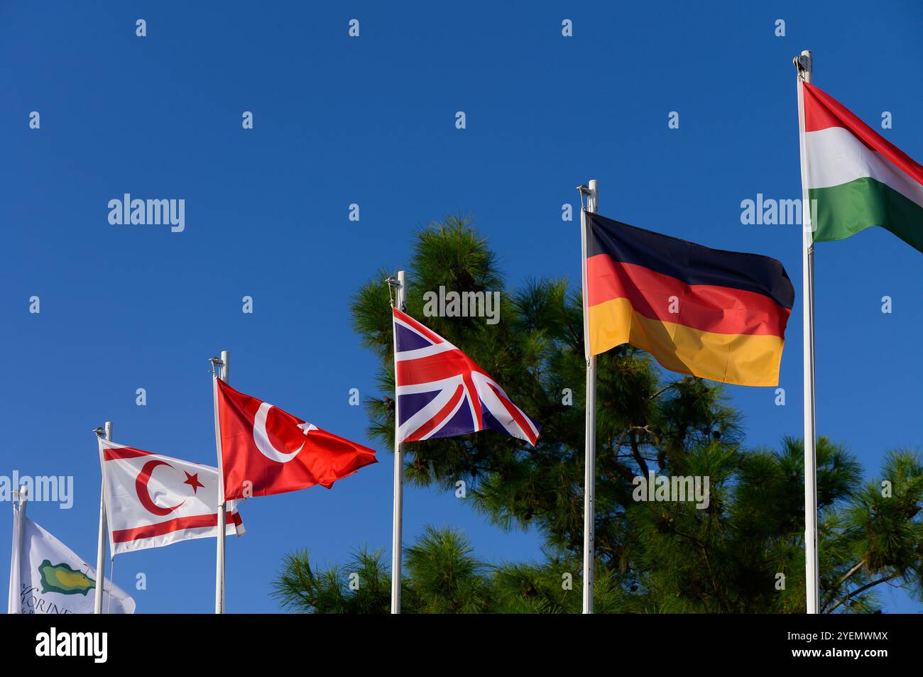 Various national flags wave gracefully in the breeze under a bright azure sky, showcasing ...