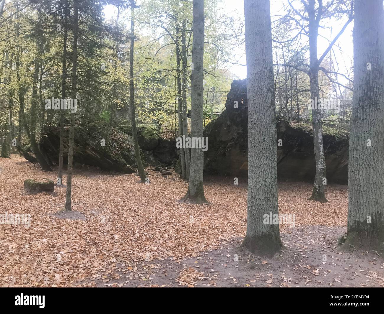 Wolf's Lair, Wolf's Fort (German - Wolfschanze) - Adolf Hitler's ...