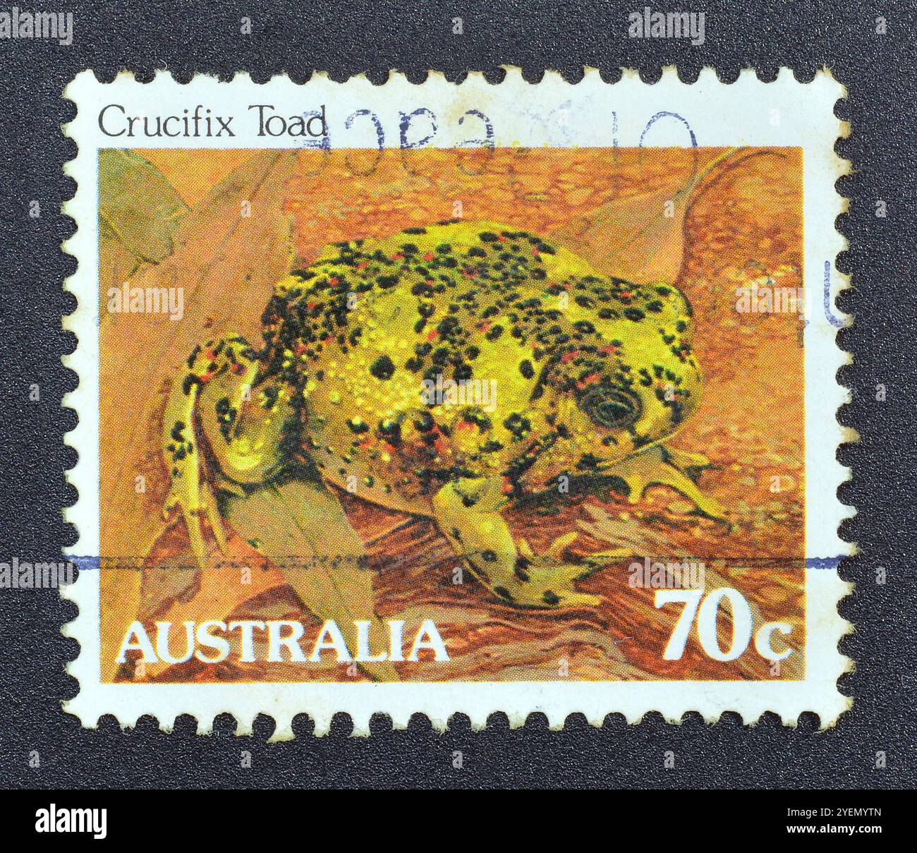 Cancelled postage stamp printed by Australia, that shows Crucifix Toad ...