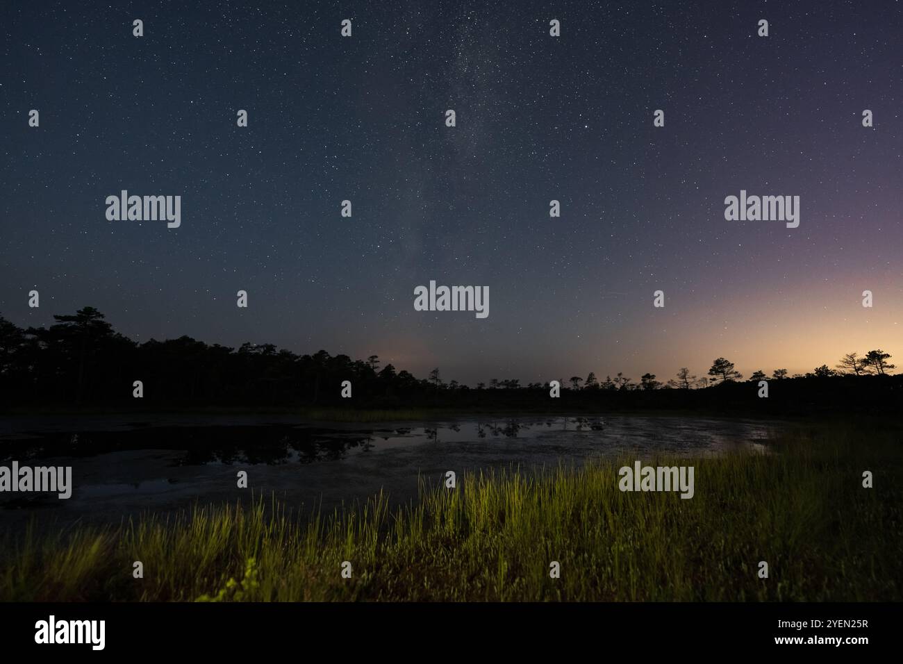 Astrophotography at the Estonian Seli swamp, stars, milky way and ...