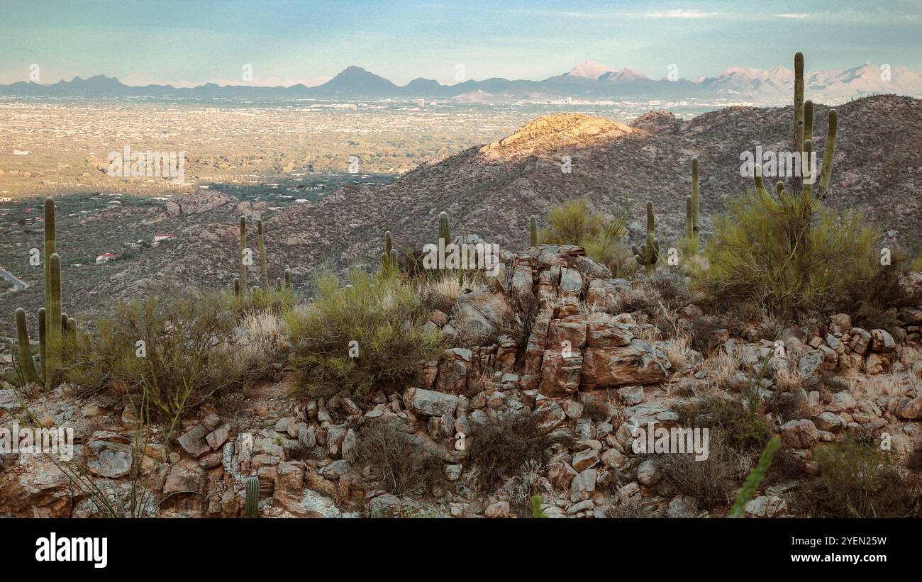 Tucson arizona desert sunrise hi-res stock photography and images - Alamy