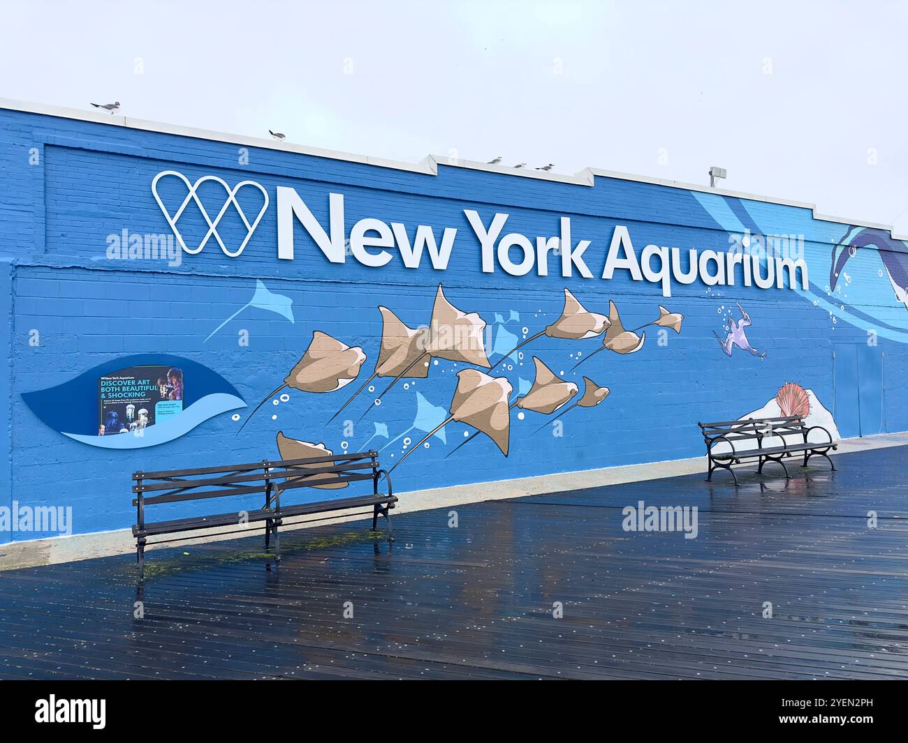New york aquarium sign mural stingray stingrays benches bench empty hi ...