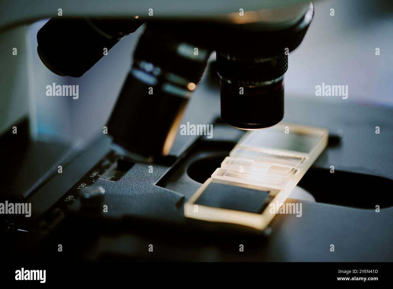 Microscope slide placed under the lenses of a laboratory microscope ...