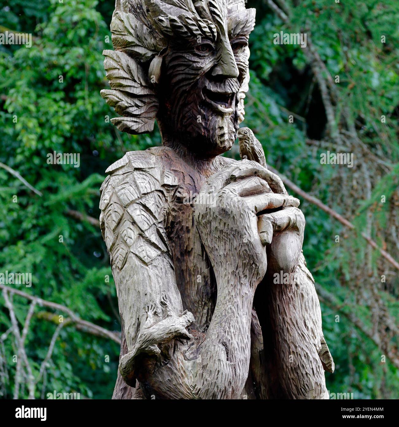 Carved wooden giant woodland giant figure at Forest Farm Nature Reserve ...