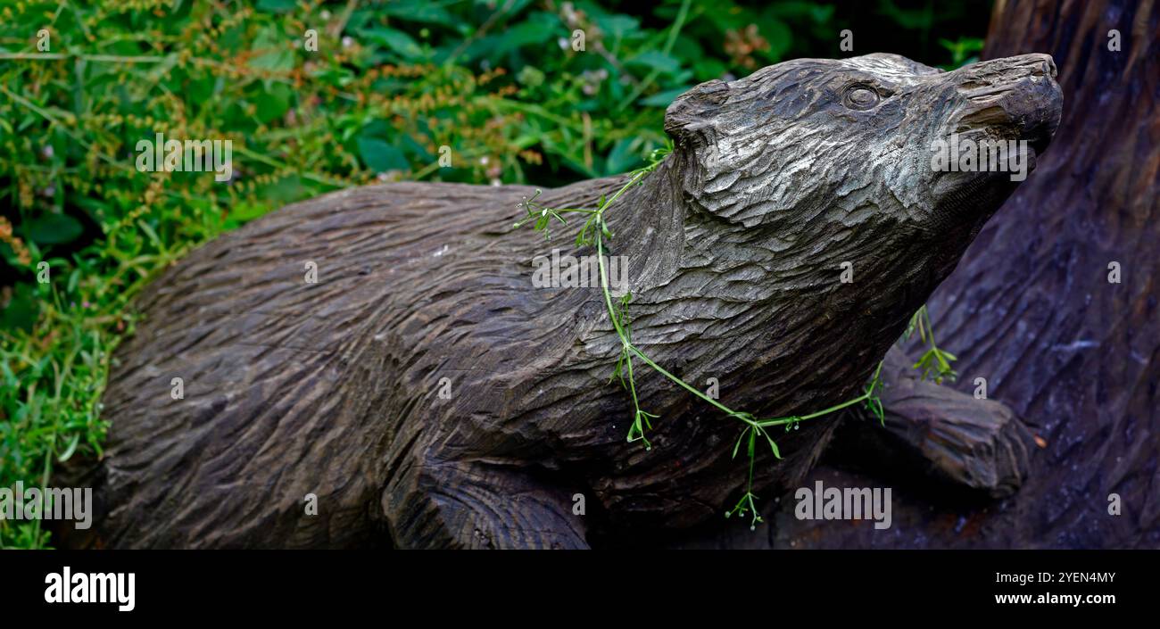 Carved wooden woodland figure of a badger at Forest Farm Nature Reserve ...