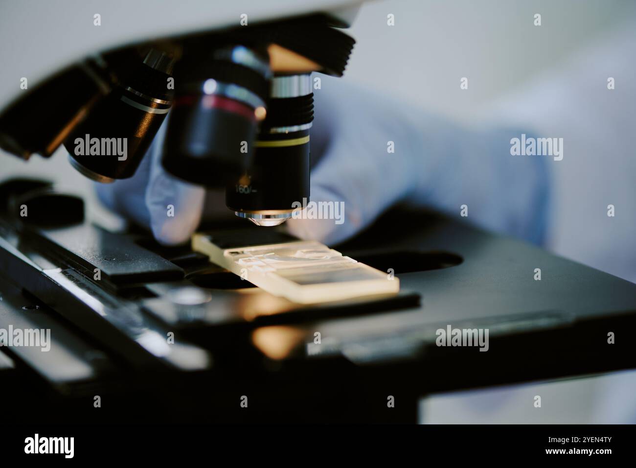 Close-up of a scientist's gloved hand positioning slide under microscope for examination in ...