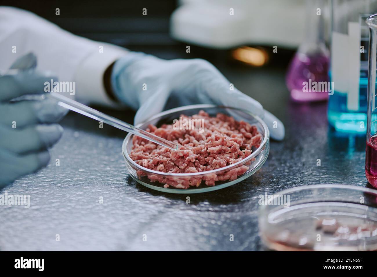 Scientist studying lab-grown meat samples by handling equipment in a ...