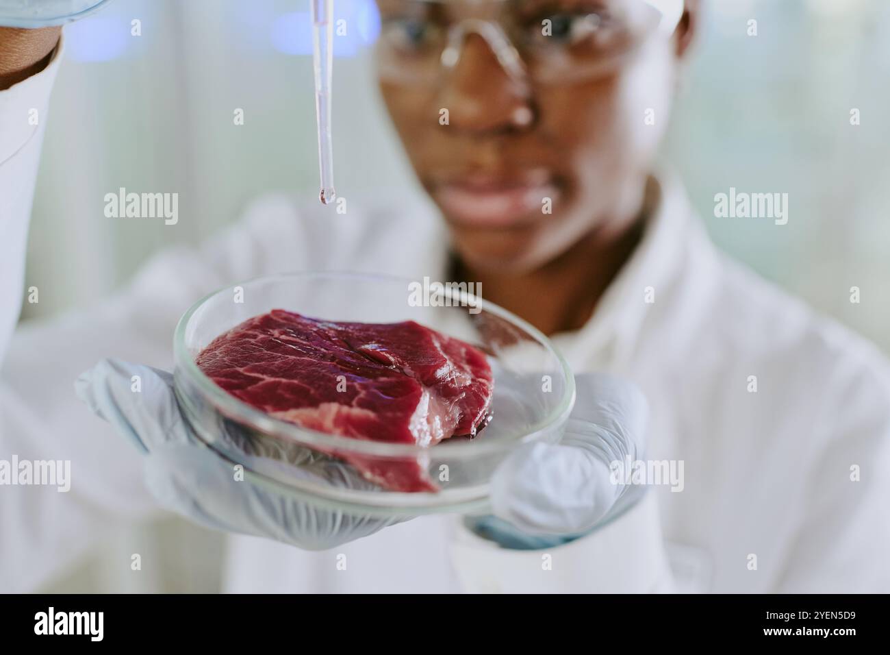Scientist holding dish with raw meat sample and examining structure ...