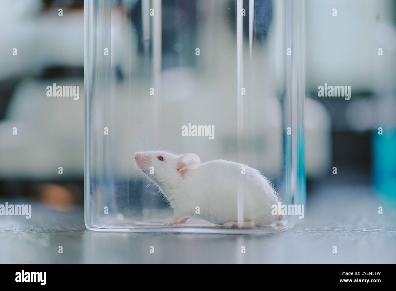 Science curiosity hi-res stock photography and images - Alamy