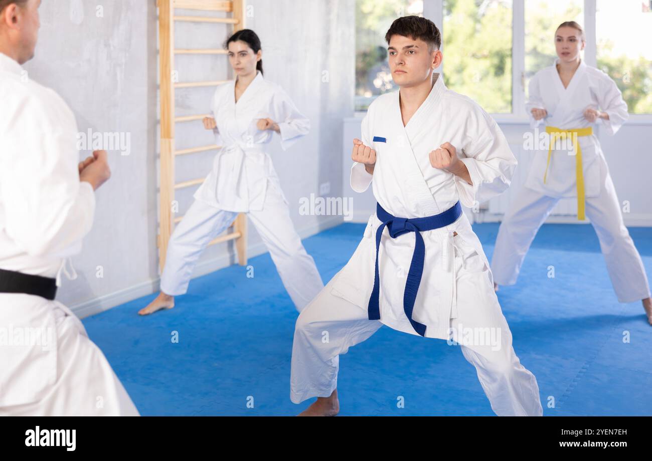 Group of people training karate technique Stock Photo - Alamy
