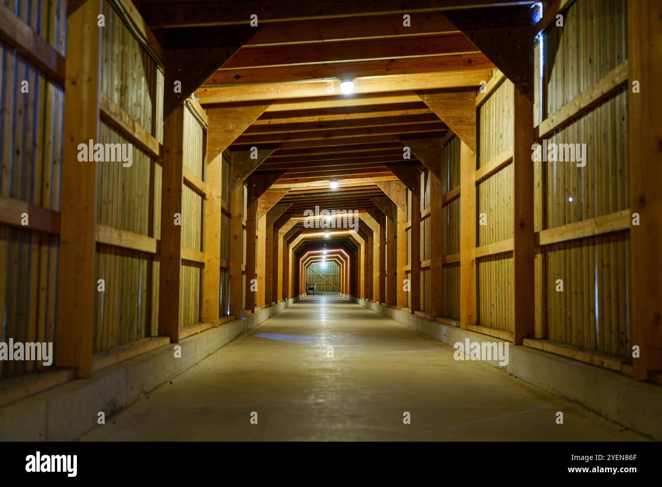 Elegant Wooden Barn Aisle with High Ceiling, Concrete Floor, and ...