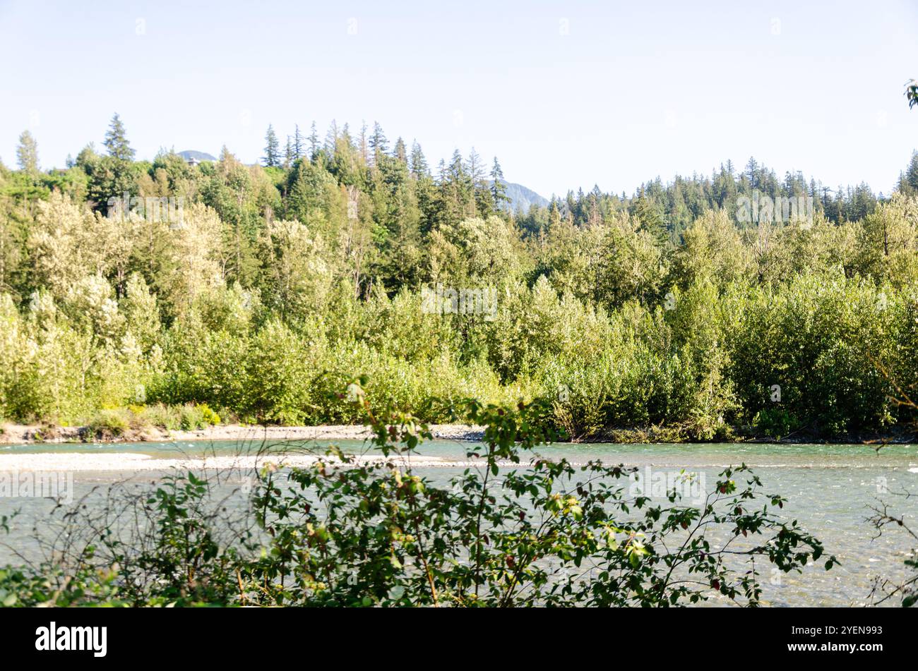 Mesmerizing view of the Vedder River winding through Chilliwack ...