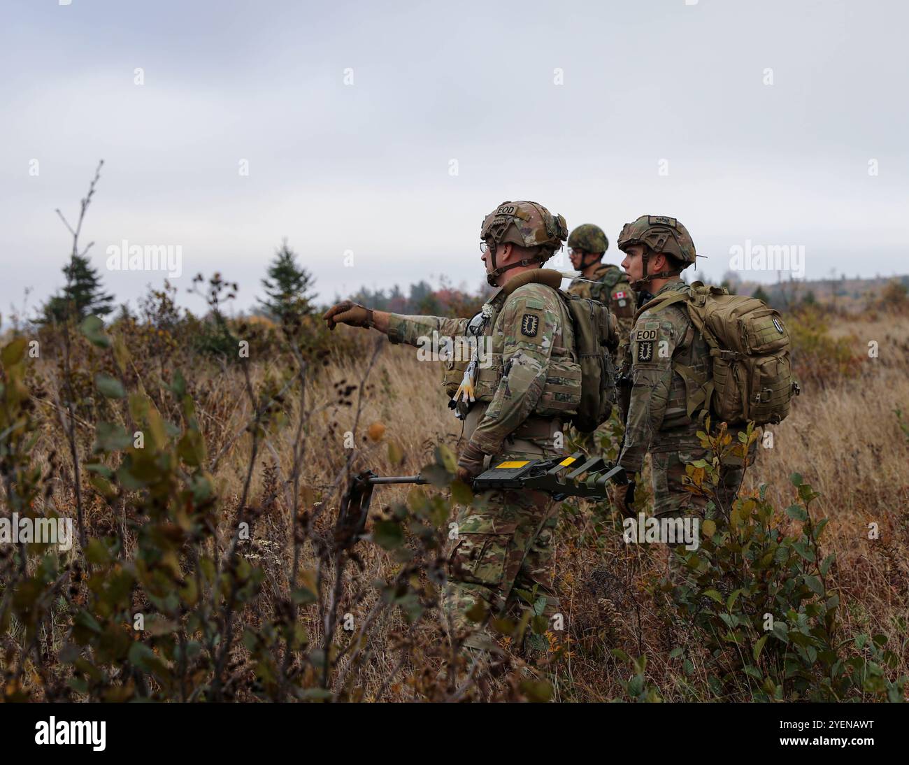Explosive ordnance disposal technicians from 52d Ordnance Group ...