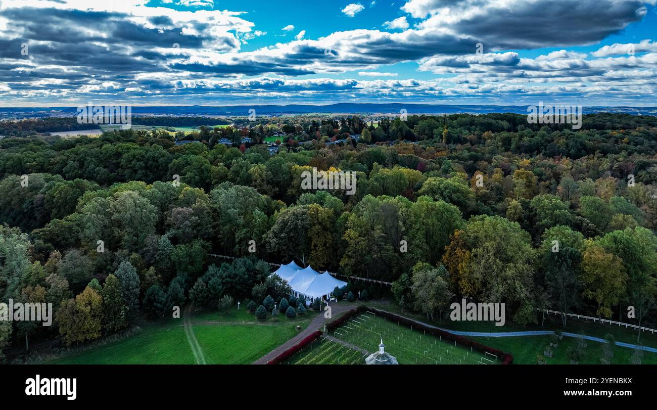 The photograph captures a bird's-eye view of a sprawling forest adorned ...