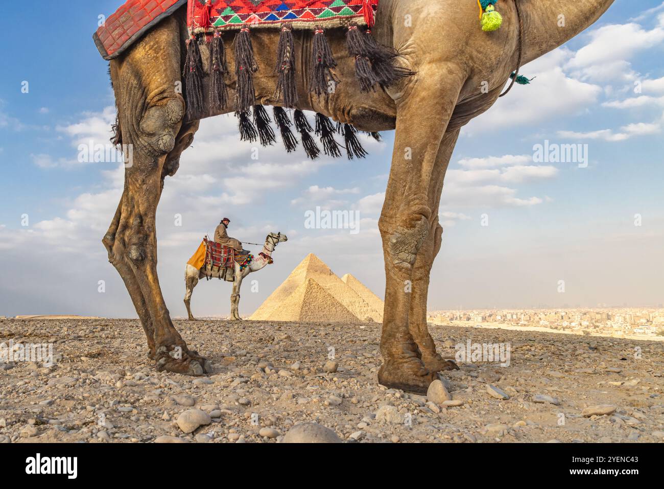 Giza Pyramid Complex, Al Ahram, Giza, Egypt. February 21, 2023. Man on ...
