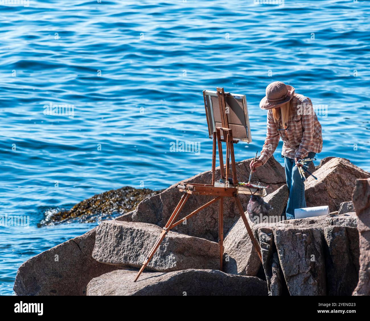Artist Painting on the Rocky Shore at Acadia National Park in Maine ...