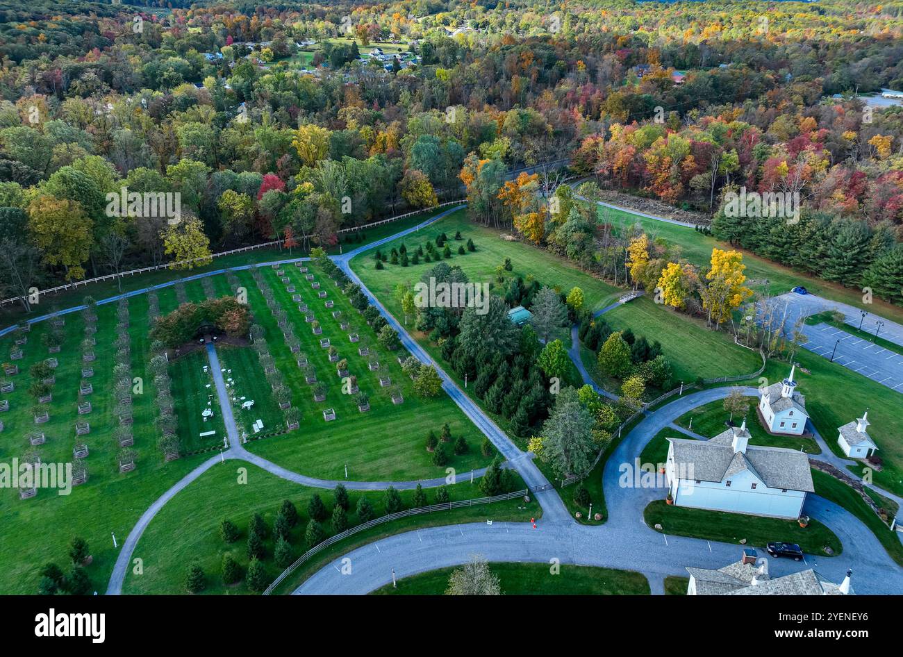 Aerial view showcases vibrant orchard hi-res stock photography and ...