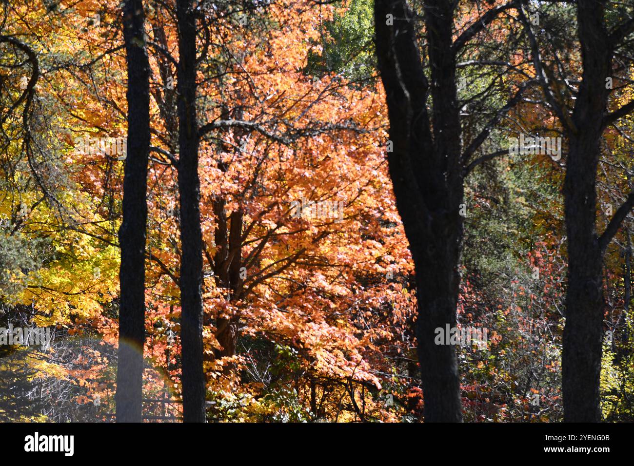 Shiny steel rails on railroad in early morning with full moon Stock ...