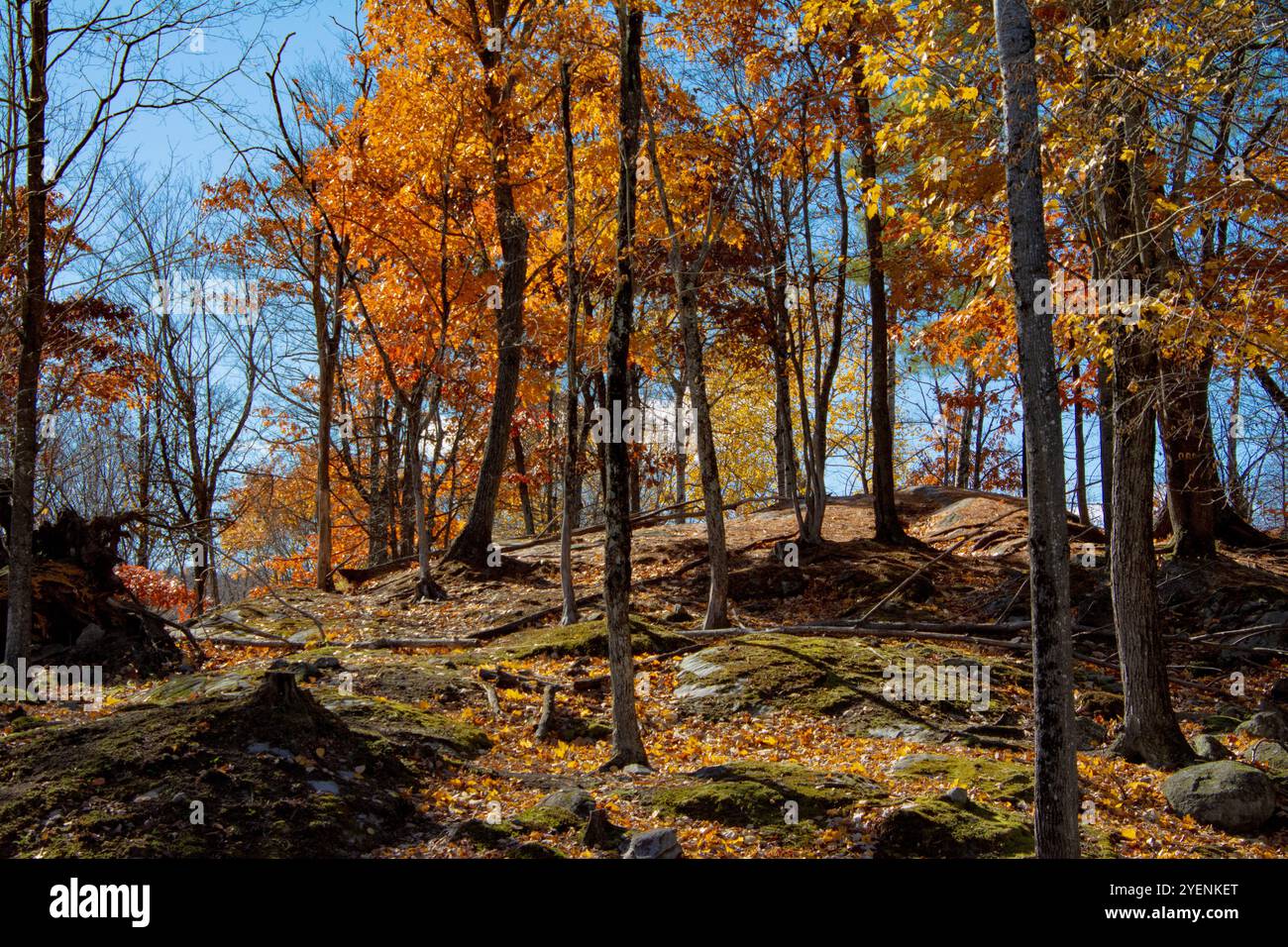 Rocky knoll hi-res stock photography and images - Alamy