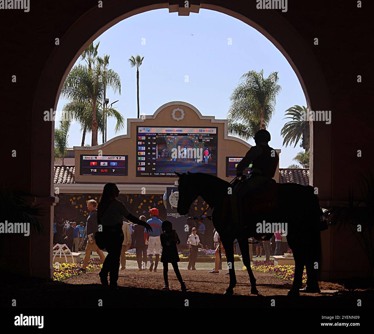 Del Mar, United States. 31st Oct, 2024. An outrider meets racing fans ...
