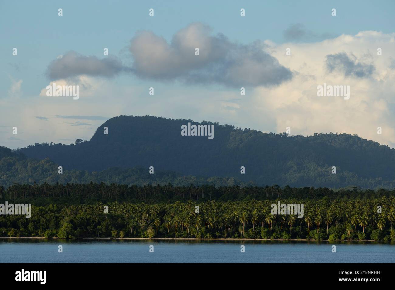 Russell Islands coconut plantation in Solomon Islands Stock Photo - Alamy