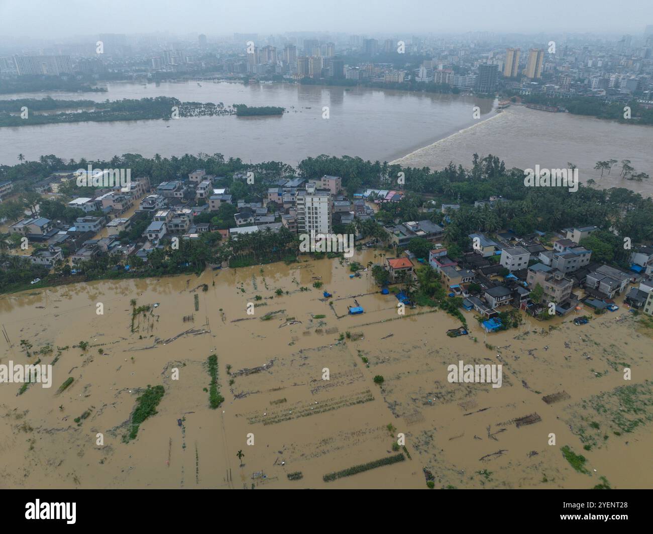 Large areas of farmland around Wanquan River have been submerged by ...