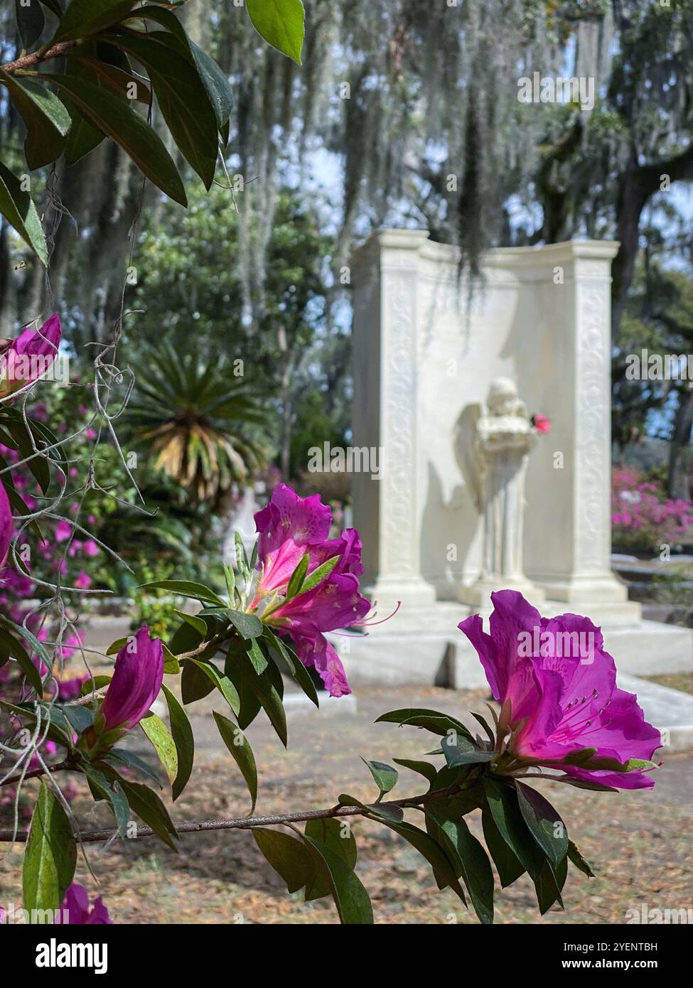 The Shell Girl, Bonaventure Cemetery, Savannah, Georgia Stock Photo - Alamy